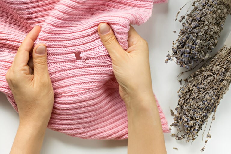 How to Get Rid of Clothes Moths Permanently | Complete Guide